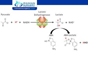 Lactate Dehydrogenase (LD) | What are the types of LDH isoenzymes?