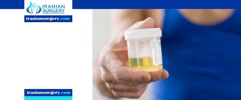 Normal Urine Test Results Chart Philippines normal-urine-test-results-chart-philippines