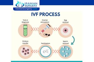 ivf process start to finish| Video | steps | Iranian Surgery